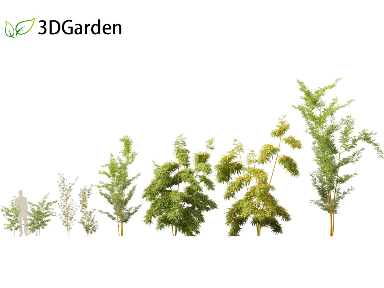 Free Bamboo 3D Models Download