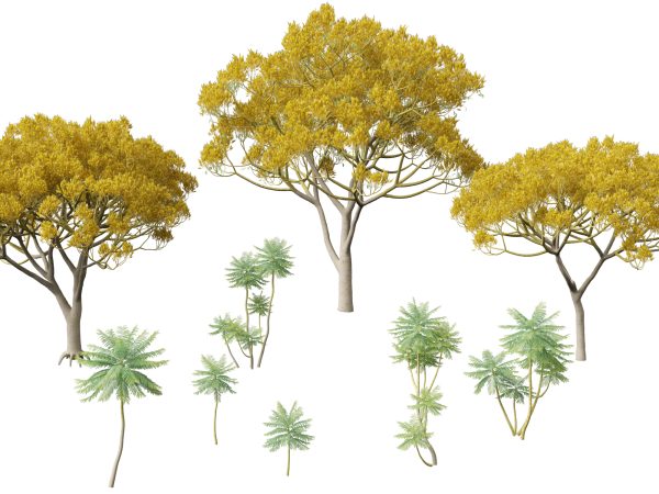 Twinmotion Plants, Tree, Grass 3D Models Free Download
