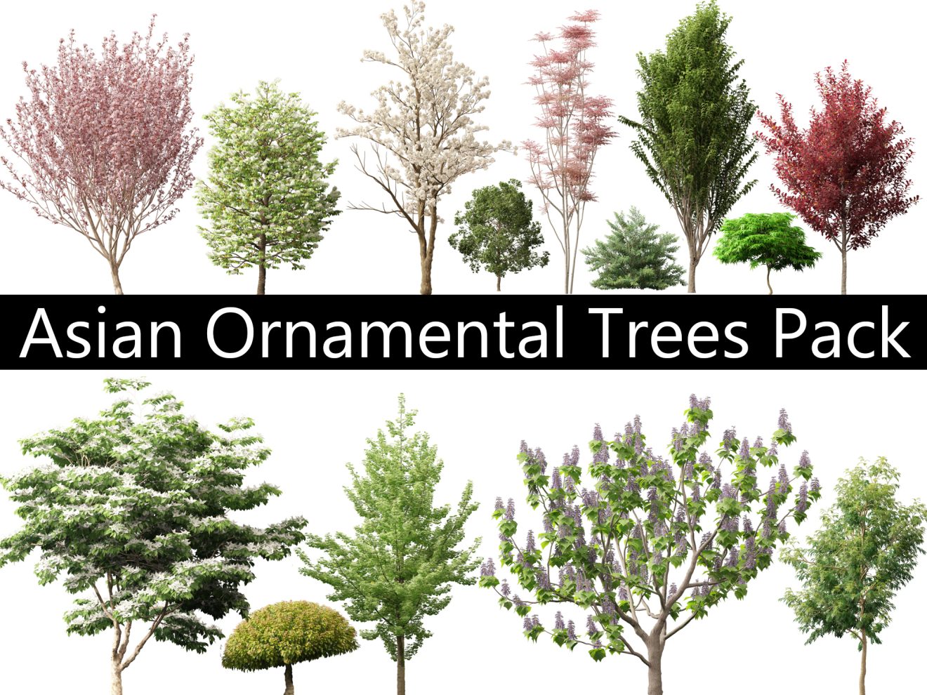 SketchUp Plants, Tree, Grass 3D Models Free Download - 3DgardenPlants