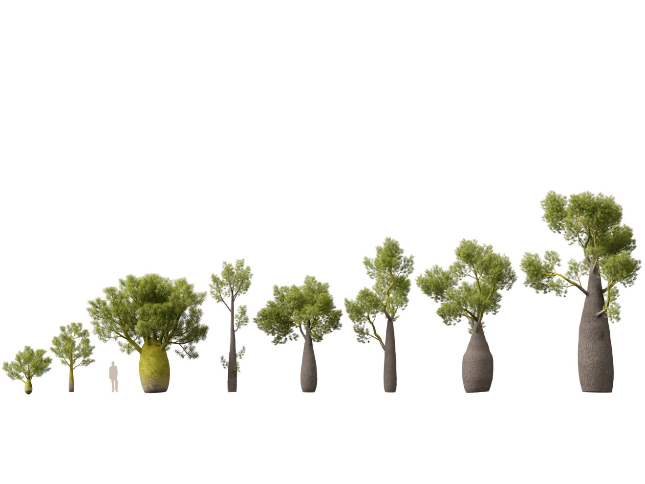 Twinmotion Plants, Tree, Grass 3D Models Free Download