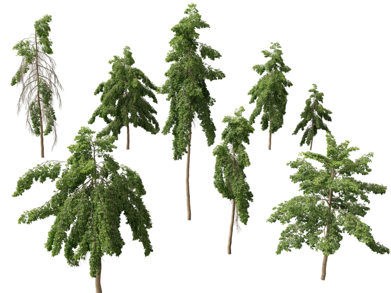 Twinmotion Plants, Tree, Grass 3D Models Free Download