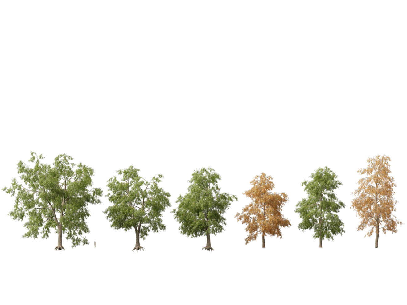 Twinmotion Plants, Tree, Grass 3D Models Free Download