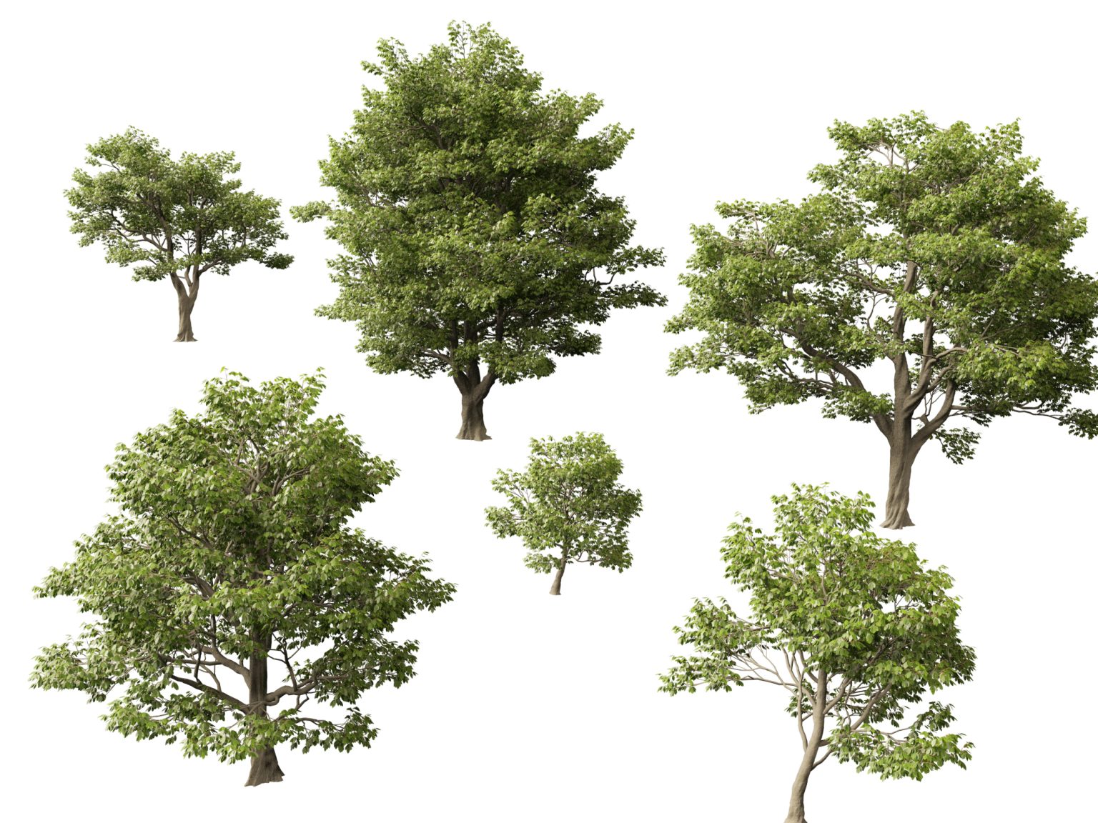 Twinmotion Plants, Tree, Grass 3D Models Free Download
