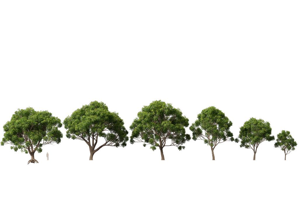 Twinmotion Plants, Tree, Grass 3D Models Free Download