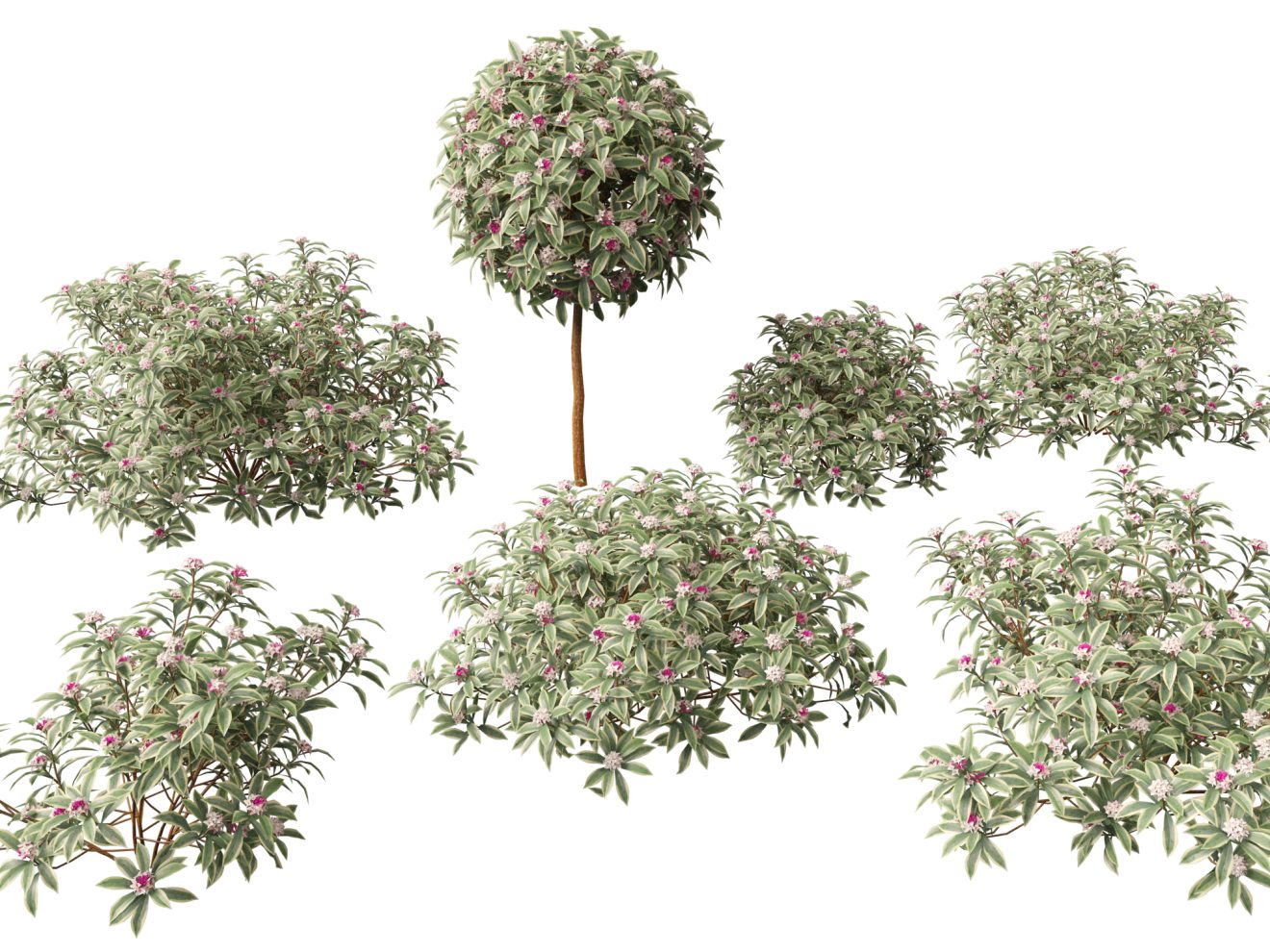 Twinmotion Plants, Tree, Grass 3D Models Free Download