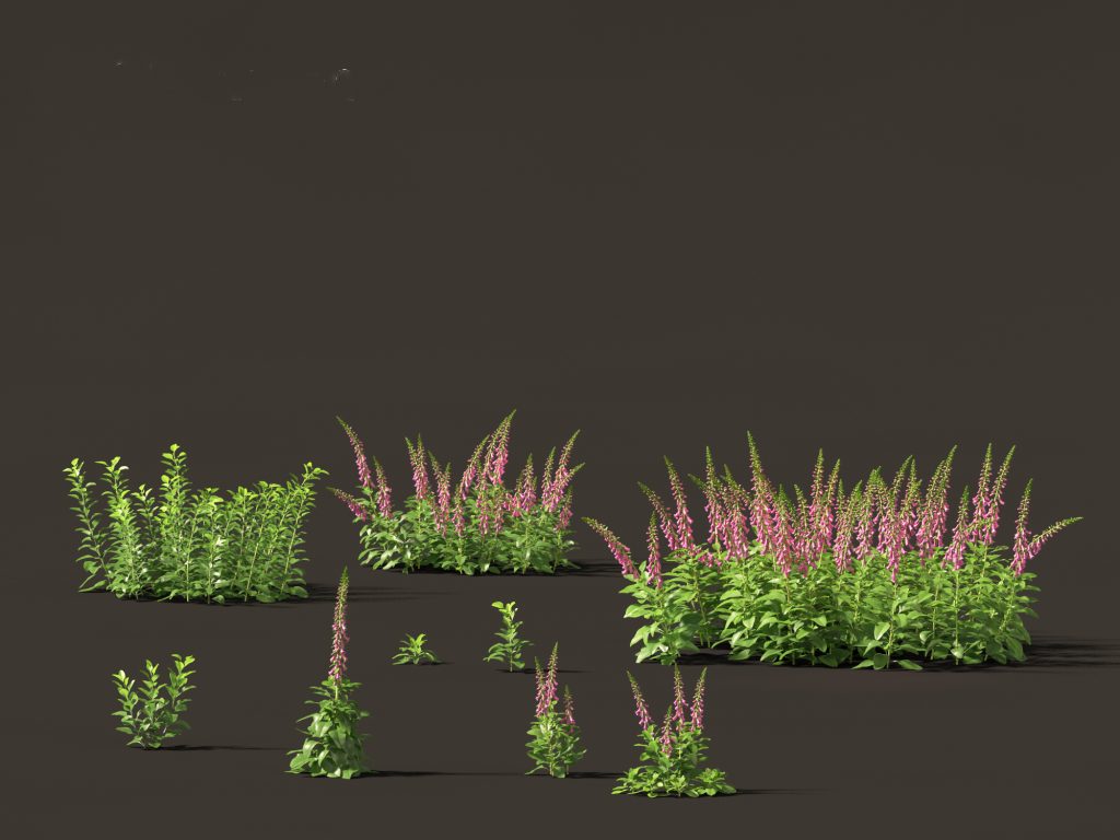 Groundcovers Pack 23
