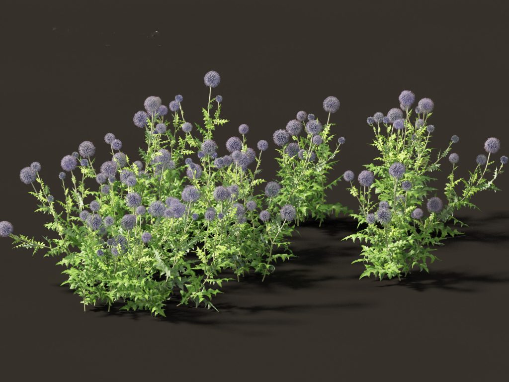 Garden Greenery Essentials Pack 39