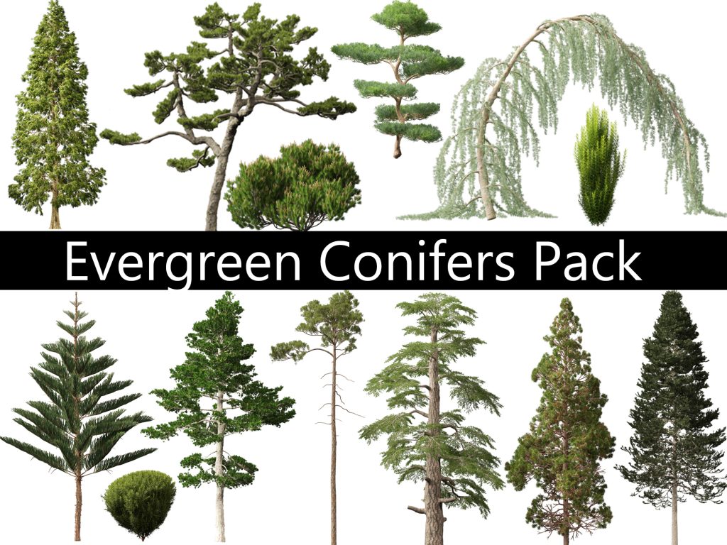 Twinmotion Plants, Tree, Grass 3D Models Free Download