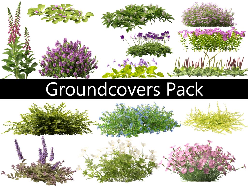 Free Ground Covers Plants 3D Models Download