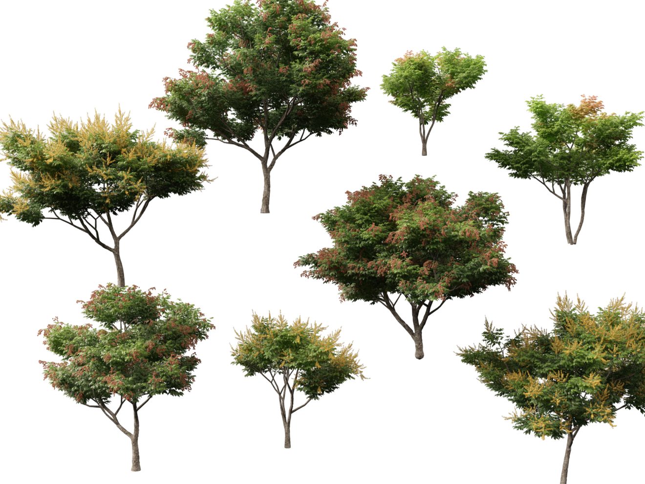 Twinmotion Plants, Tree, Grass 3D Models Free Download