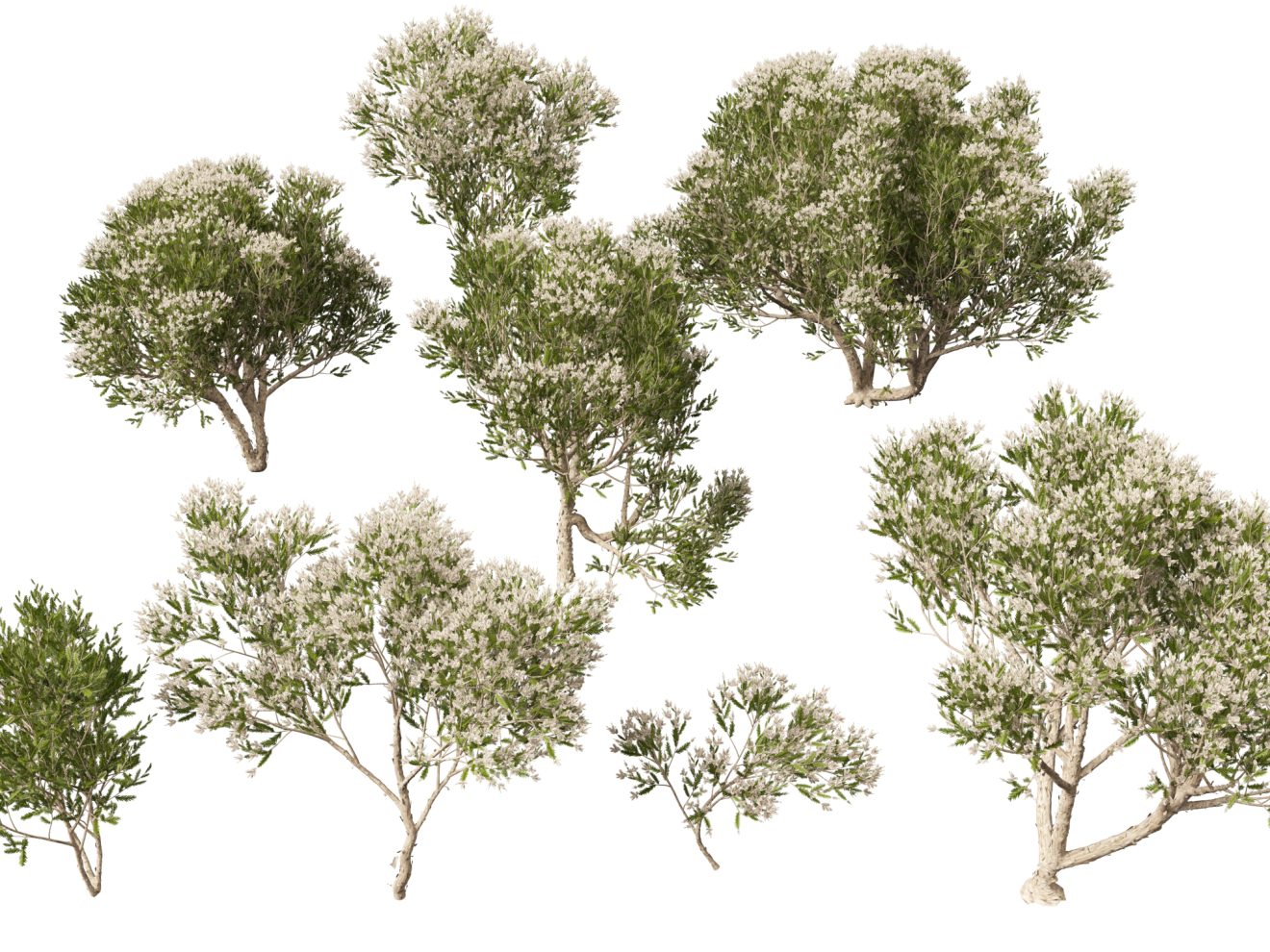 Twinmotion Plants, Tree, Grass 3D Models Free Download
