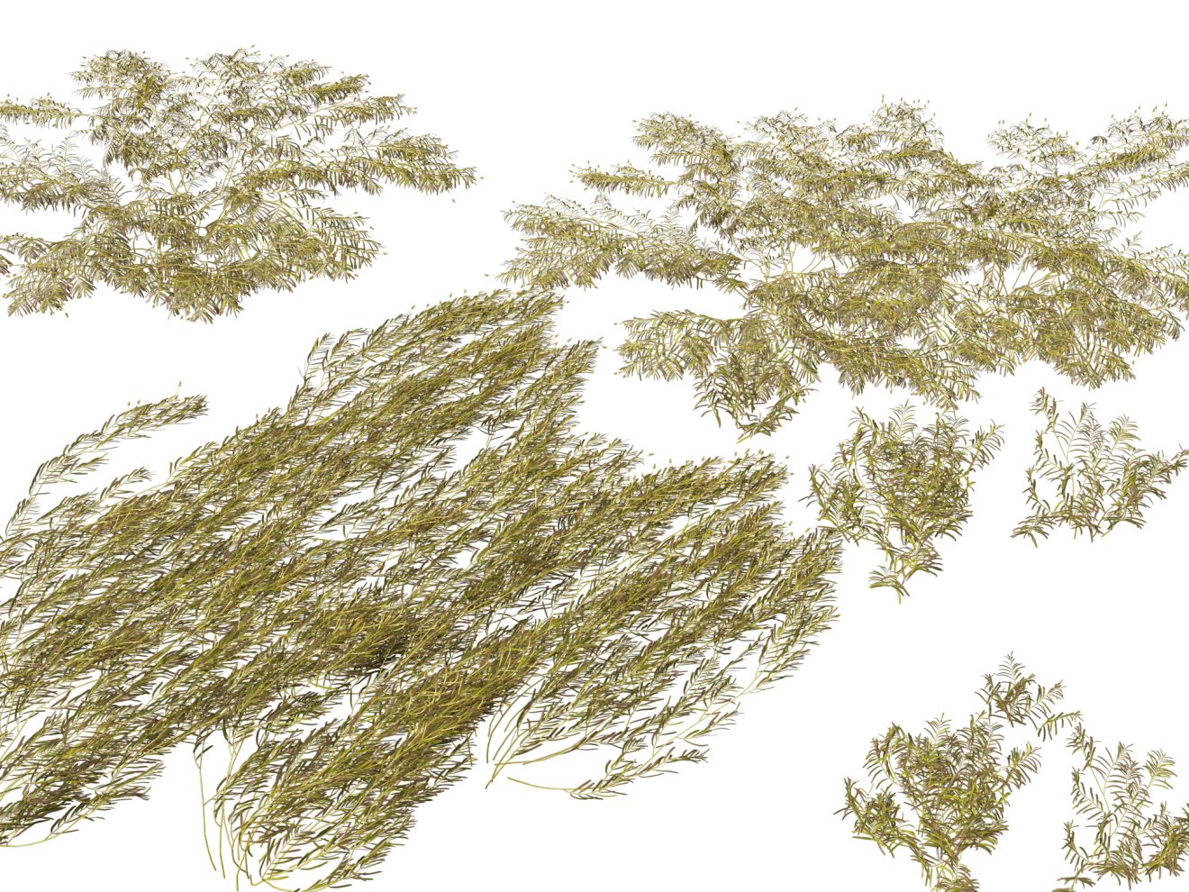 Twinmotion Plants, Tree, Grass 3D Models Free Download