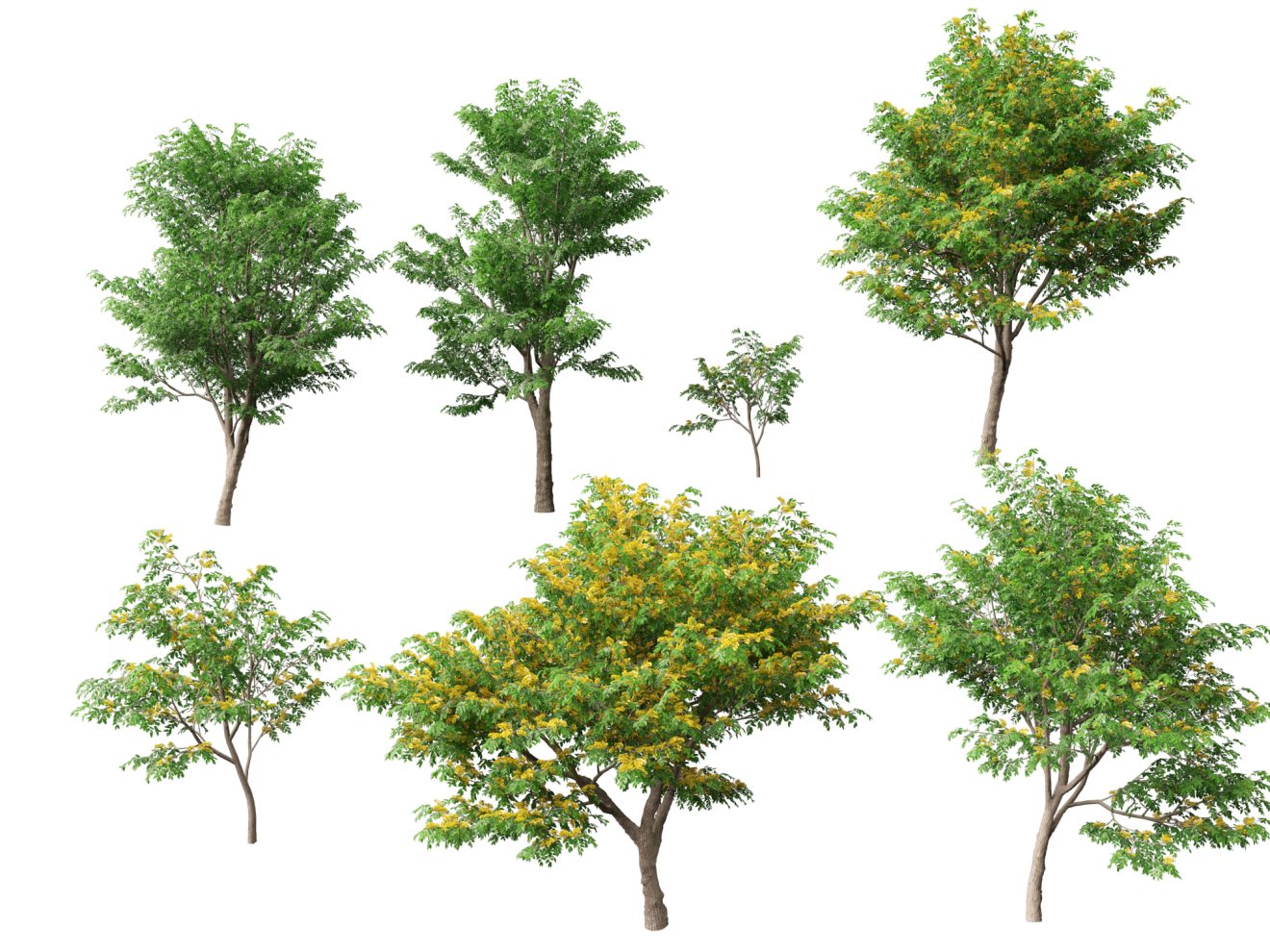 Twinmotion Plants, Tree, Grass 3D Models Free Download