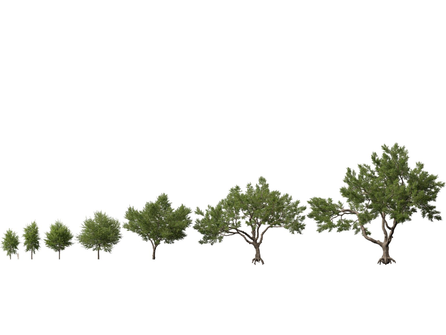 Twinmotion Plants, Tree, Grass 3D Models Free Download