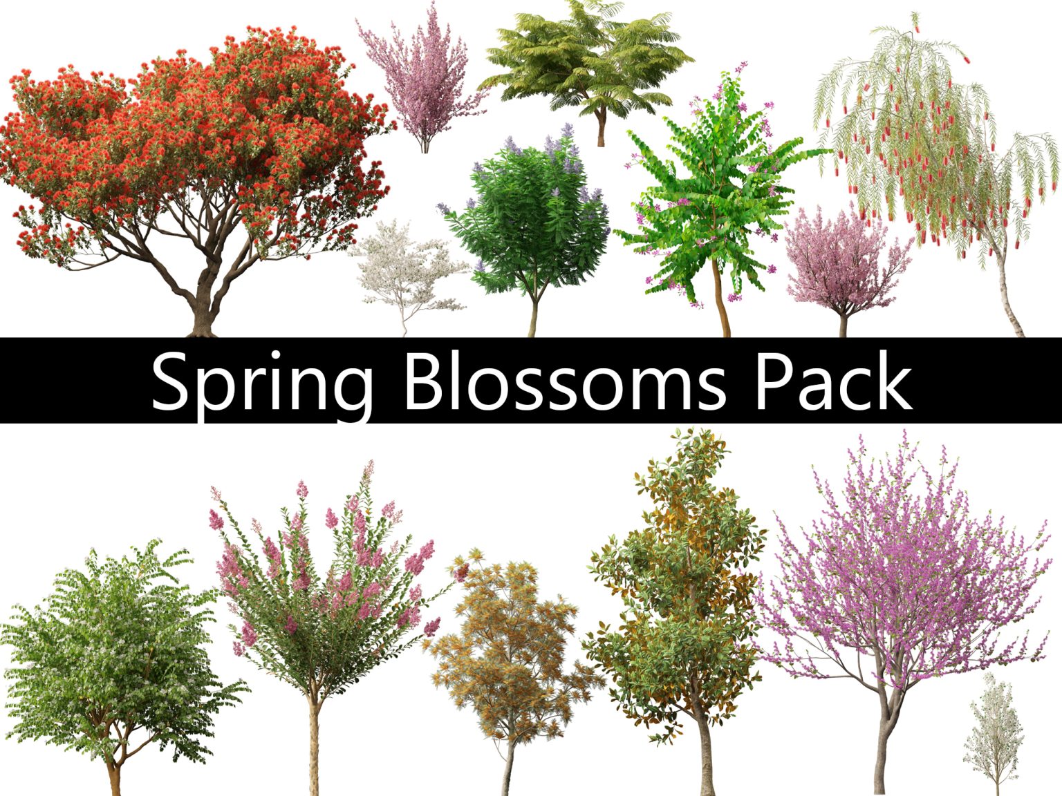 Twinmotion Plants, Tree, Grass 3D Models Free Download