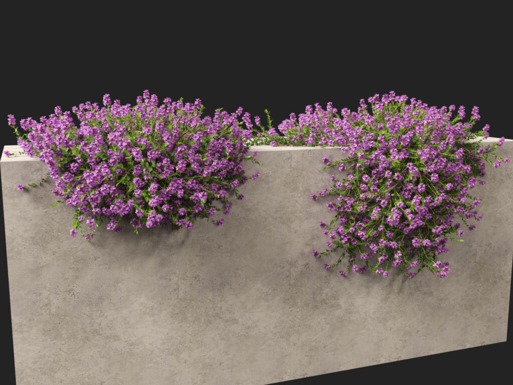 Thymus serpyllum - wild thyme 3D Model