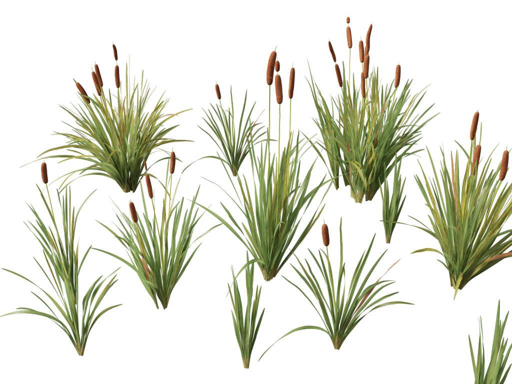 Twinmotion Plants, Tree, Grass 3D Models Free Download