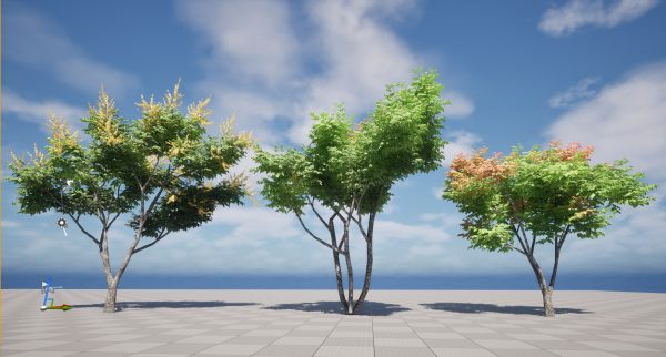 UE5 Wind Plants – Koelreuteria paniculata – golden rain tree