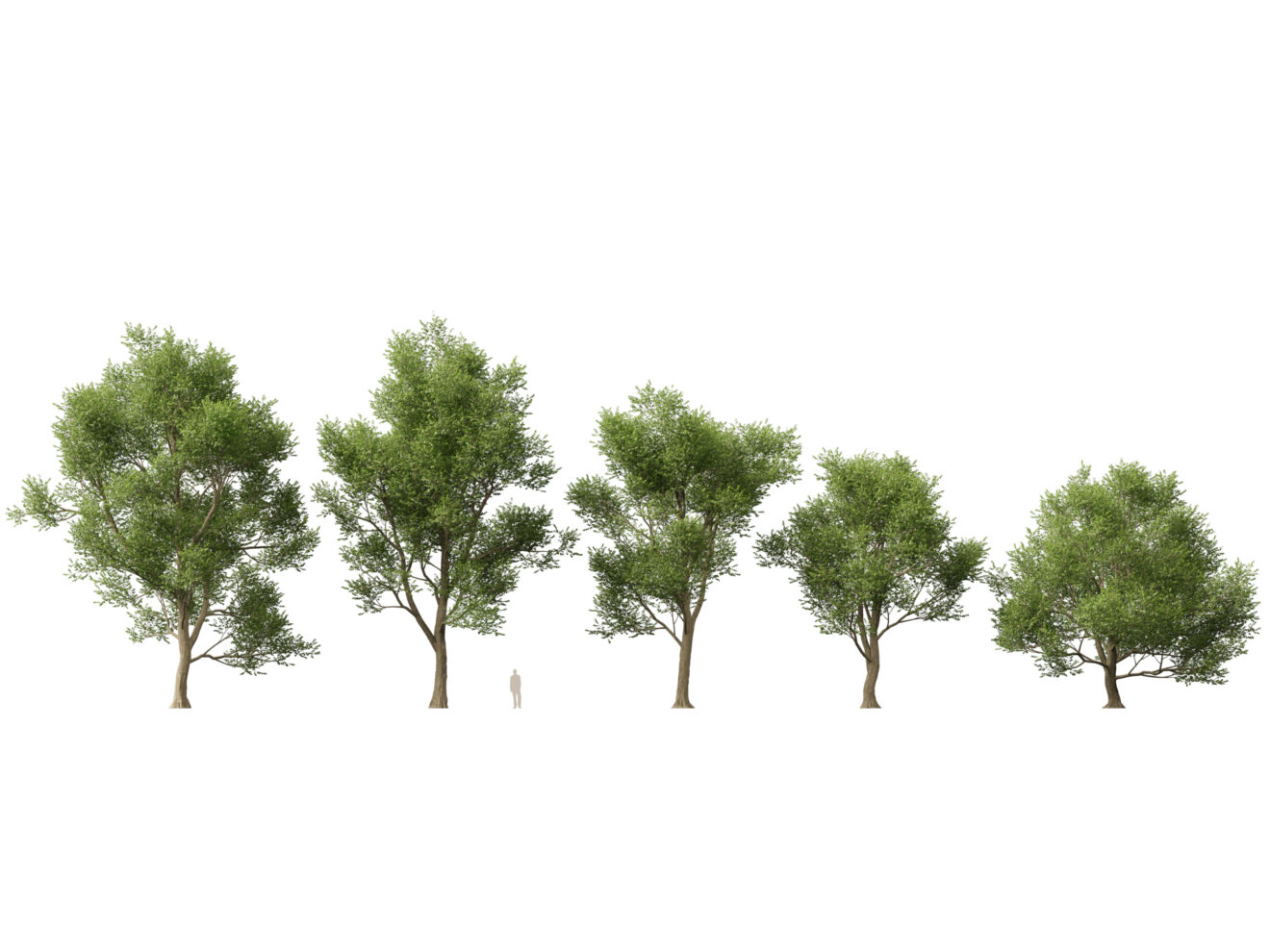Twinmotion Plants, Tree, Grass 3D Models Free Download