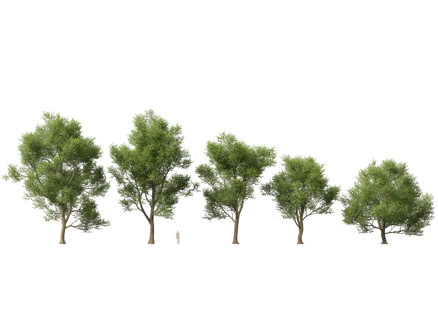 Twinmotion Plants, Tree, Grass 3D Models Free Download