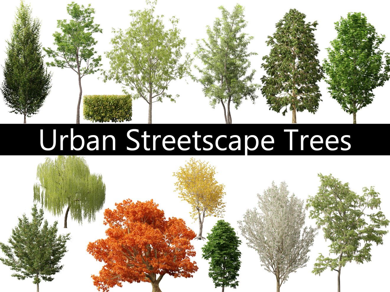 Twinmotion Plants, Tree, Grass 3D Models Free Download