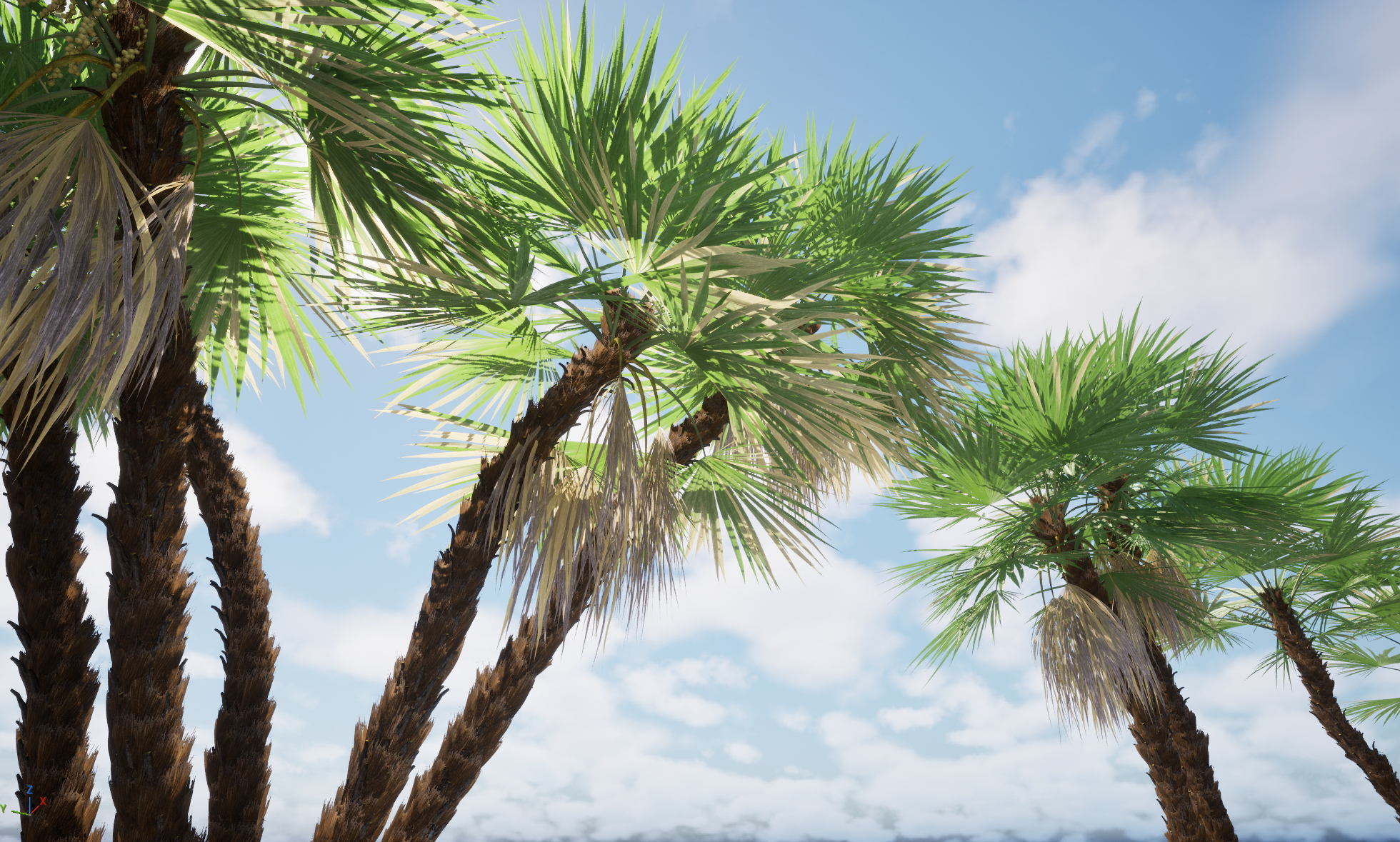 UE5 Wind Plants – Acoelorrhaphe wrightii – Everglades palm