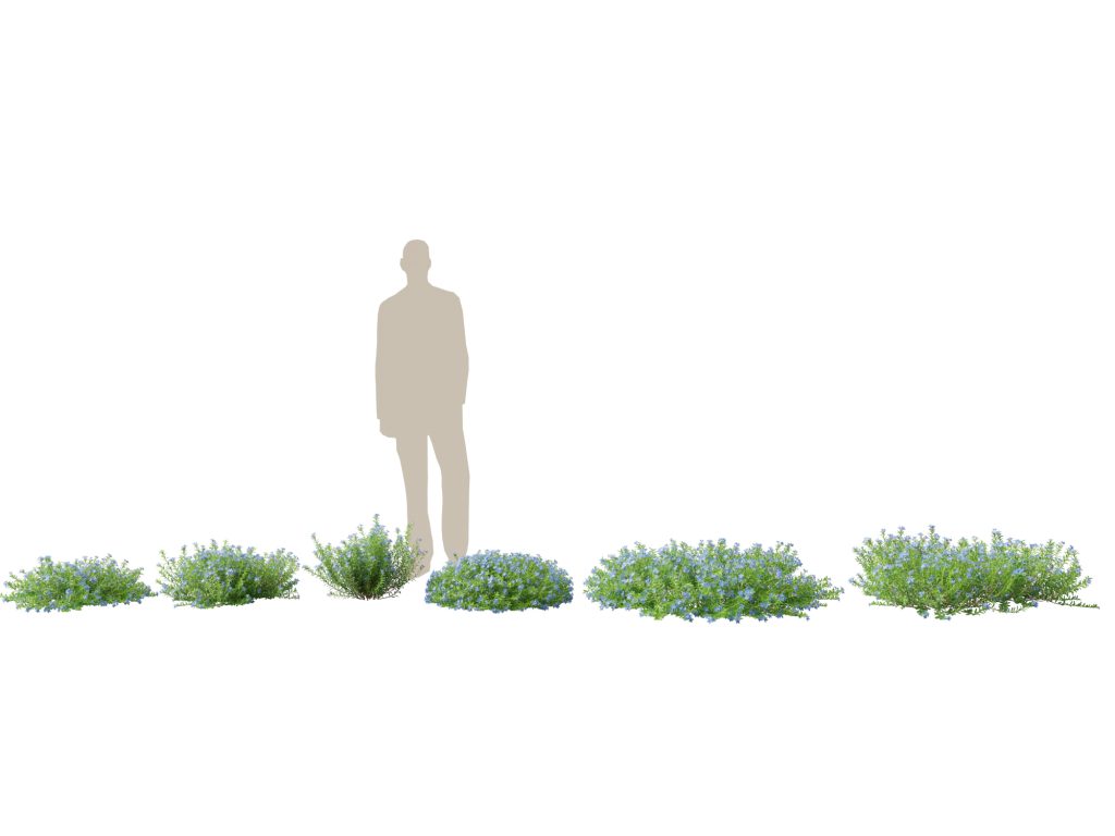Groundcovers Pack 23